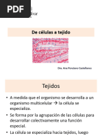 05 Tejidos Epiteliales III Especializaciones Del Dominio Basolateral ...