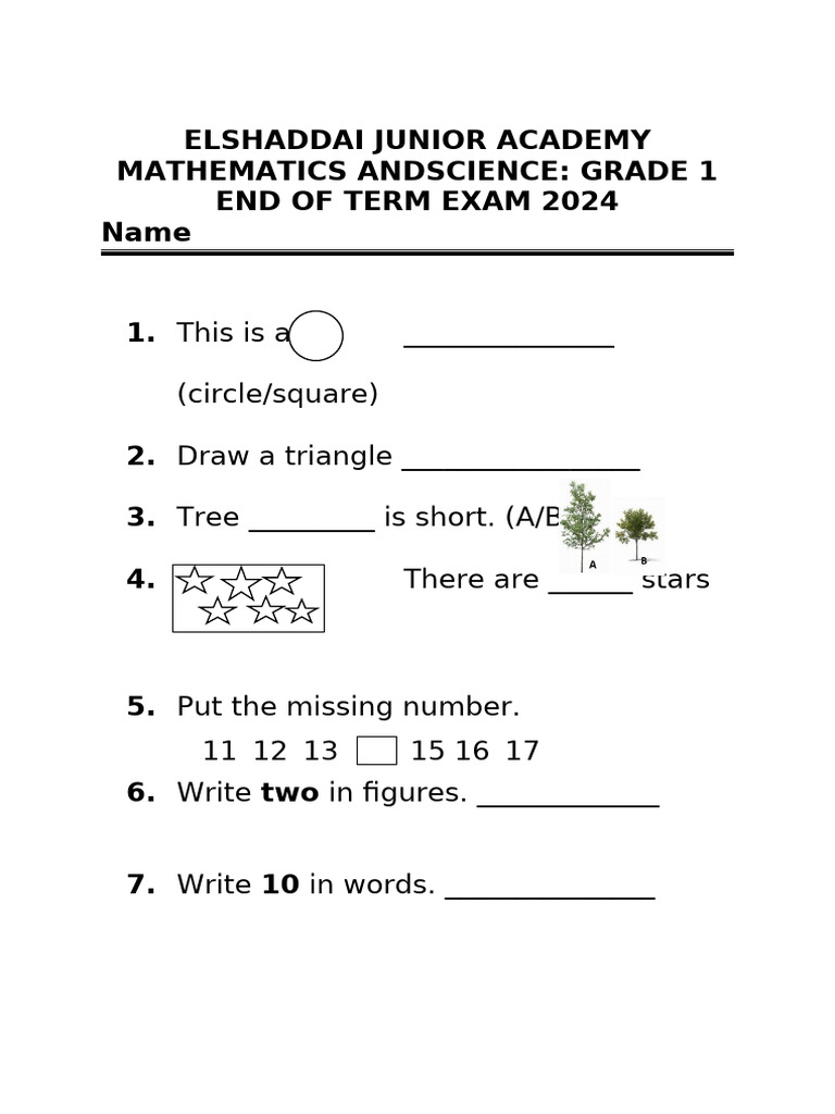 Maths and Science g1 | PDF