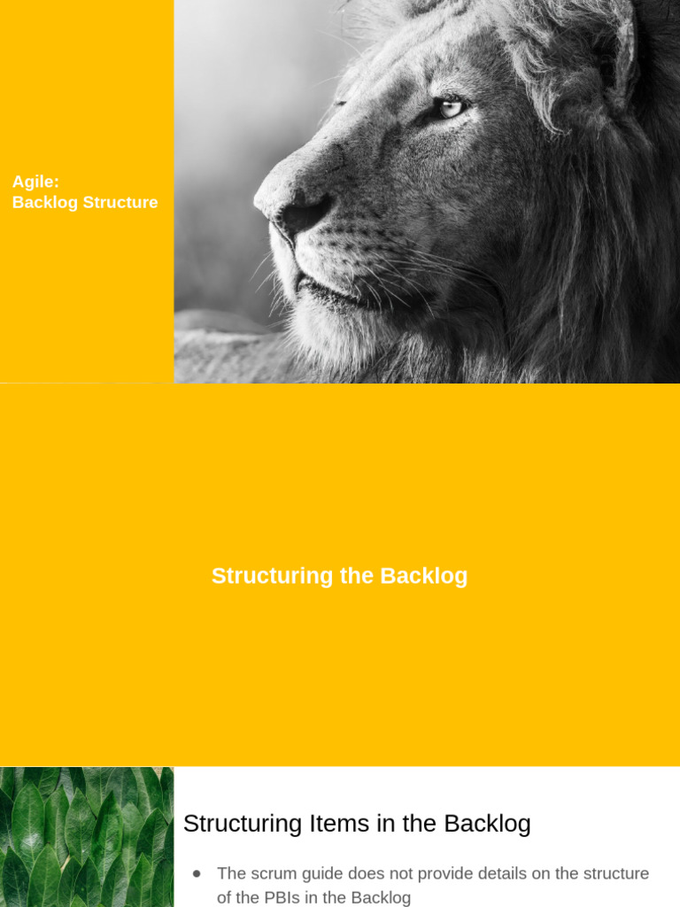 Product Backlog Structure | PDF | Scrum (Software Development)