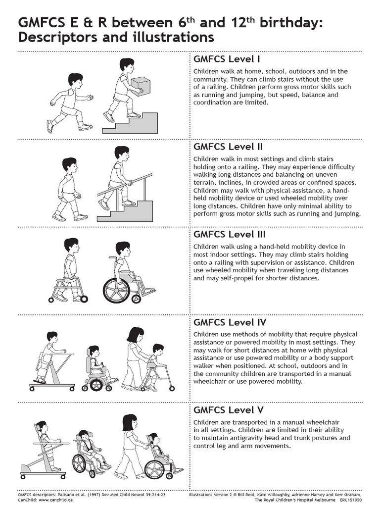 GMFCS Levels 6-18 Years: Descriptors & Illustrations | PDF | Wheelchair ...