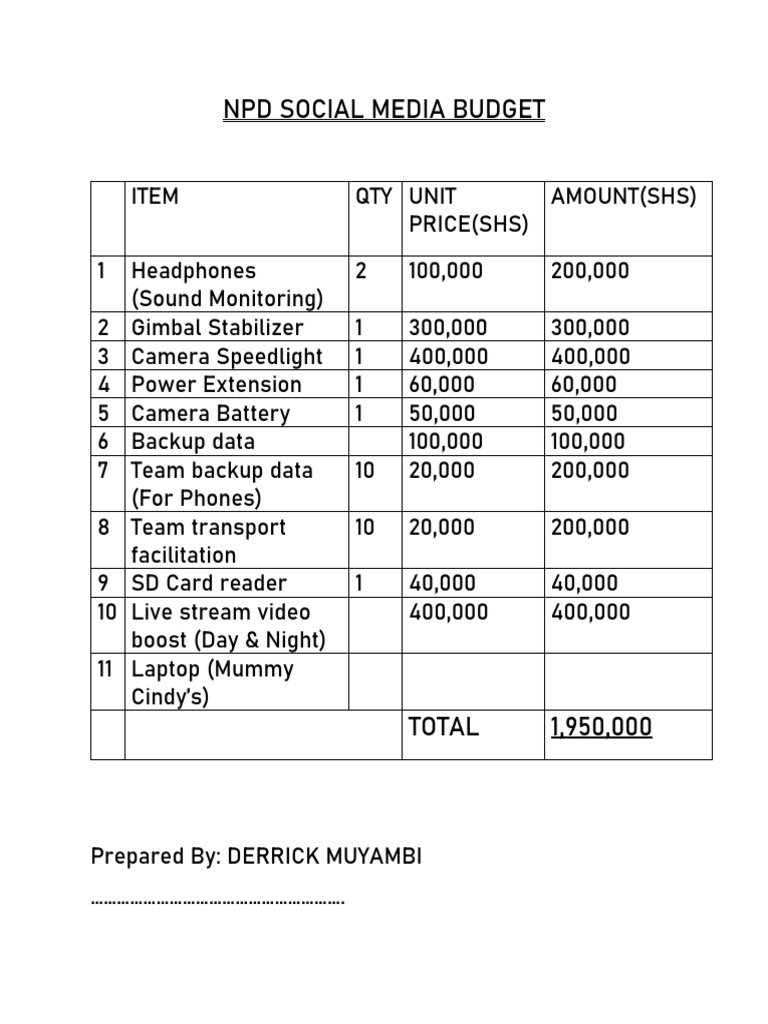 Npd Social Media Bugjet | PDF