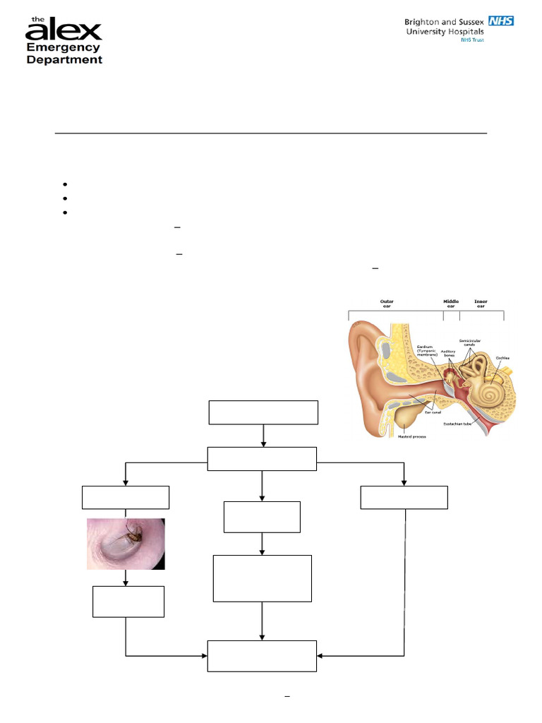 Foreign Bodies in Ear: Pediatric Guidelines | PDF | Wound | Ear