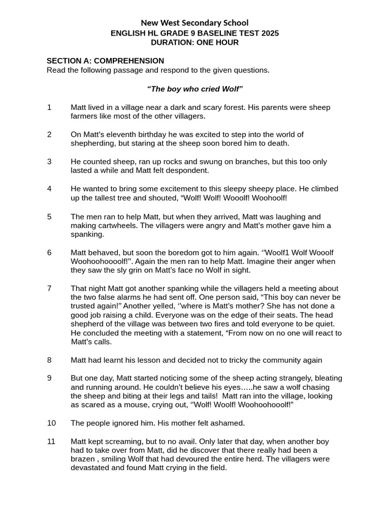 Grade 9 English Baseline Test 2025 | PDF | Part Of Speech | Verb
