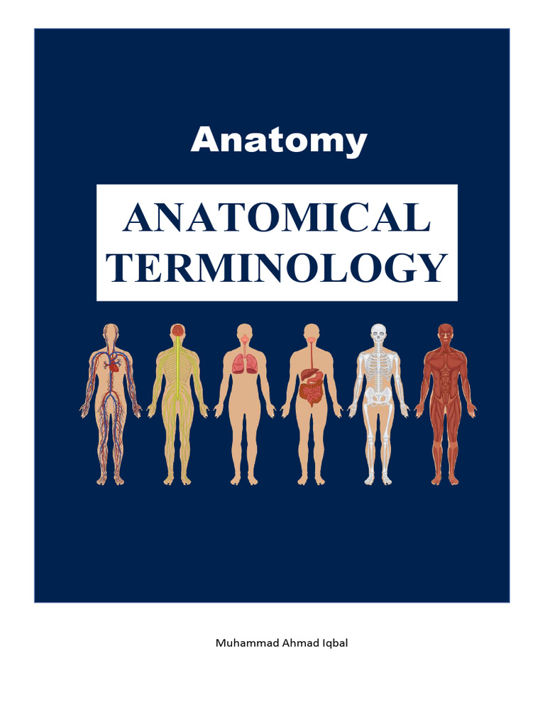 CH# 1 Anatomical Terminology | PDF | Anatomical Terms Of Location ...