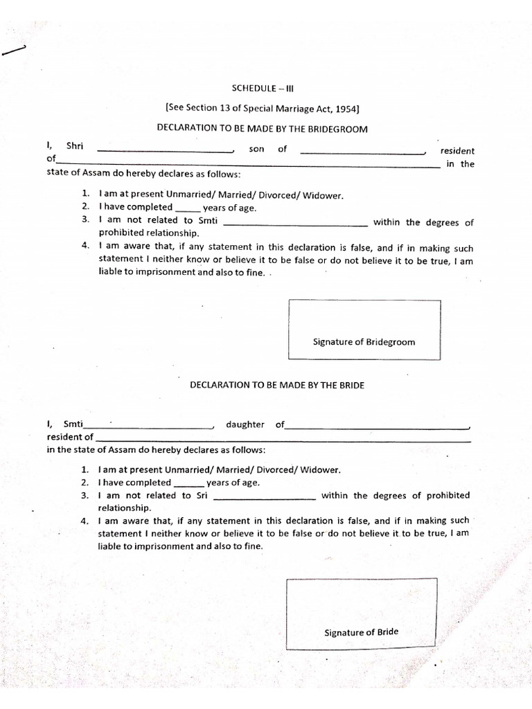 Declaration and Form III | PDF