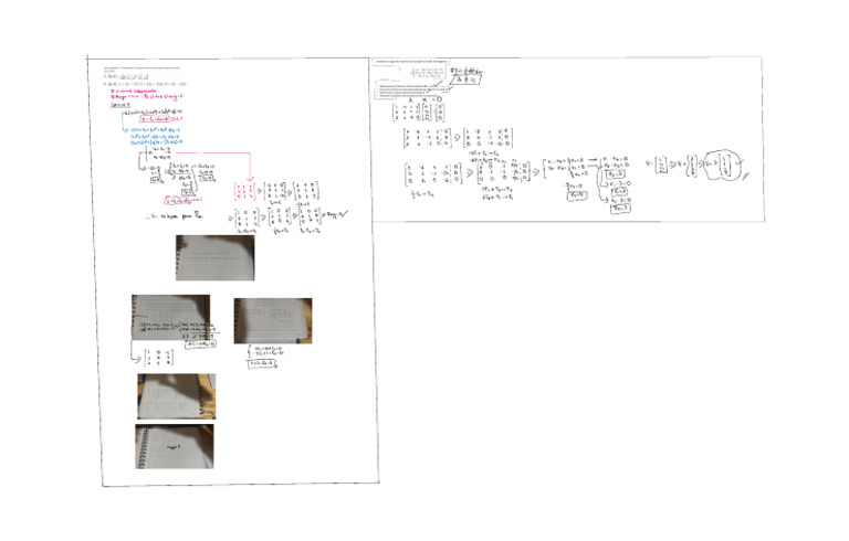 Leyner - 20.01.2025 | PDF