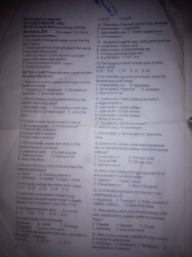 022 Gross 3rd Test | PDF
