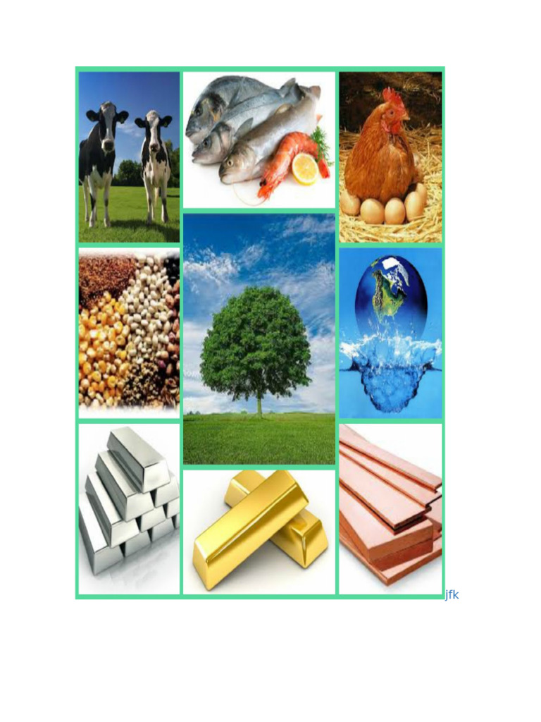 Collage Quimica | PDF