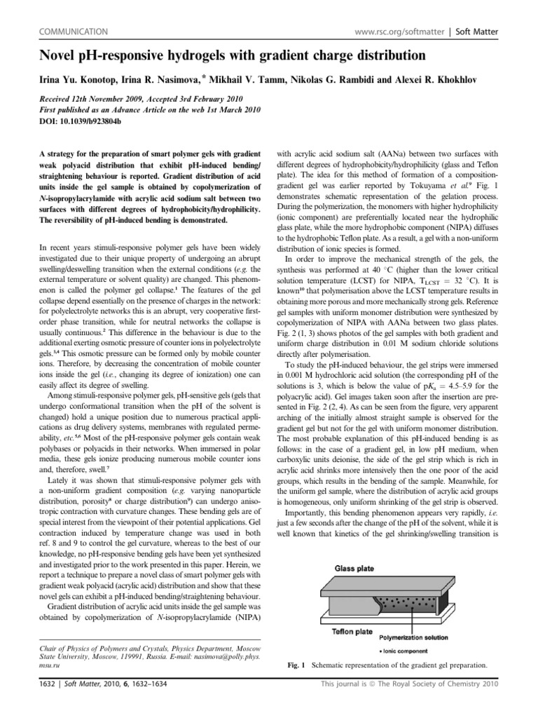 Novel Ph-Responsive Hydrogels With Gradient Charge Distribution | PDF ...