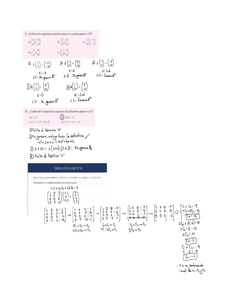 EJERCICIOS LEYNER - 08.01.2025 | PDF