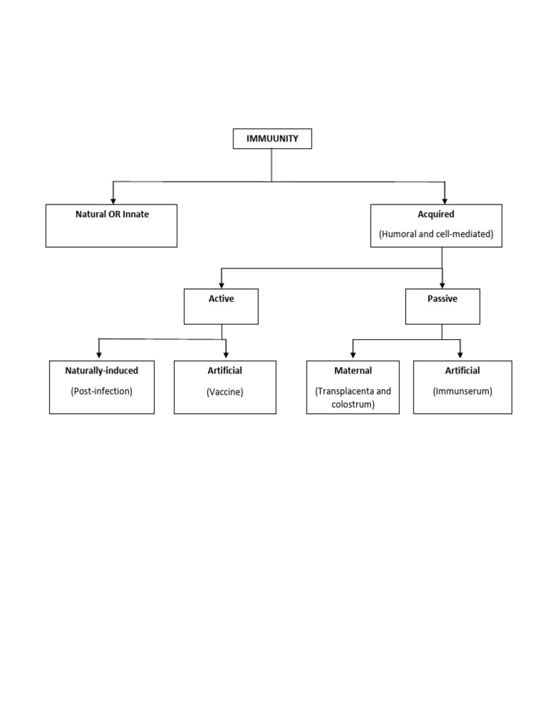 Lec 8 | PDF | Antibody | Immune System
