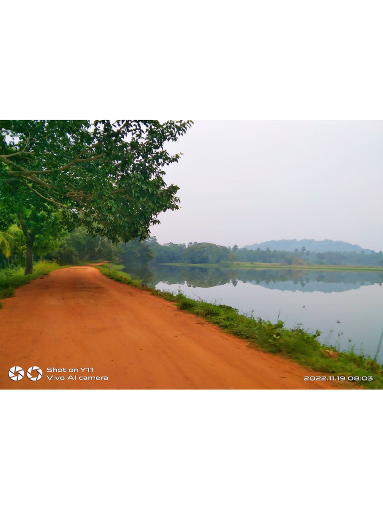 Royal Collage Paper | PDF