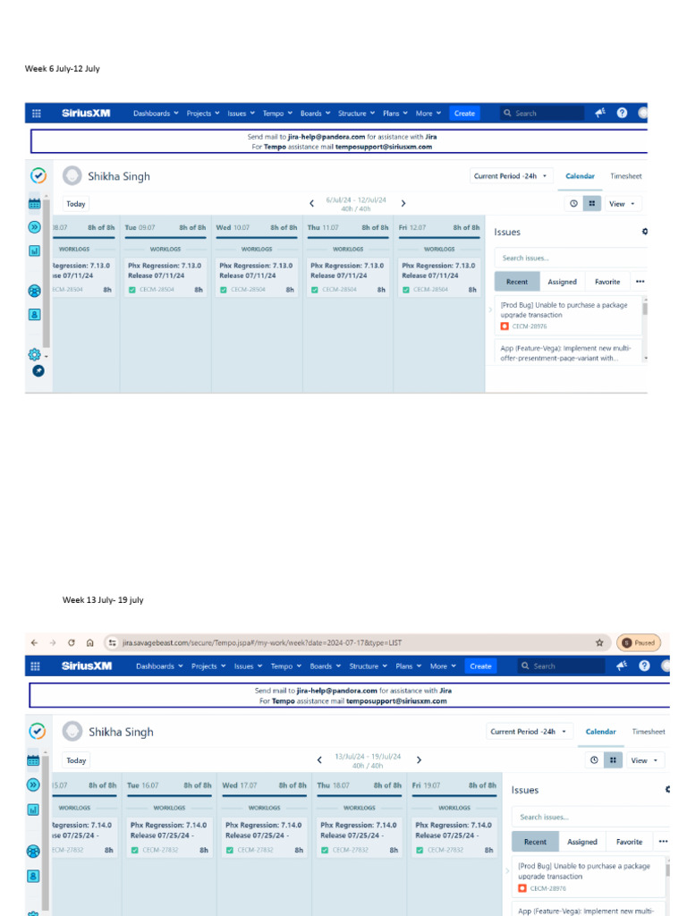 TimeSheet - July 2024 - Shikha Singh - 144 Hrs | PDF