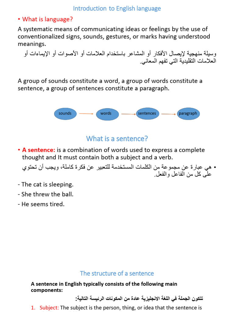 Introduction New PDF | PDF | Sentence (Linguistics) | Pronoun