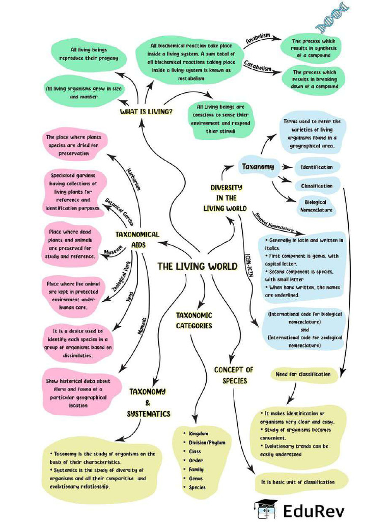 Biology Mind Maps | PDF