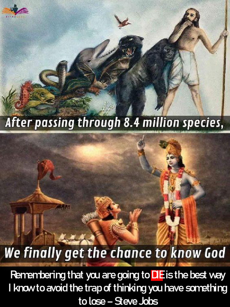 ExportDocument Ashx | PDF