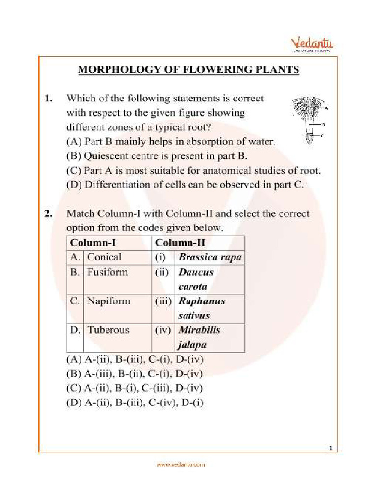 Important Question and Definition of Botany | PDF