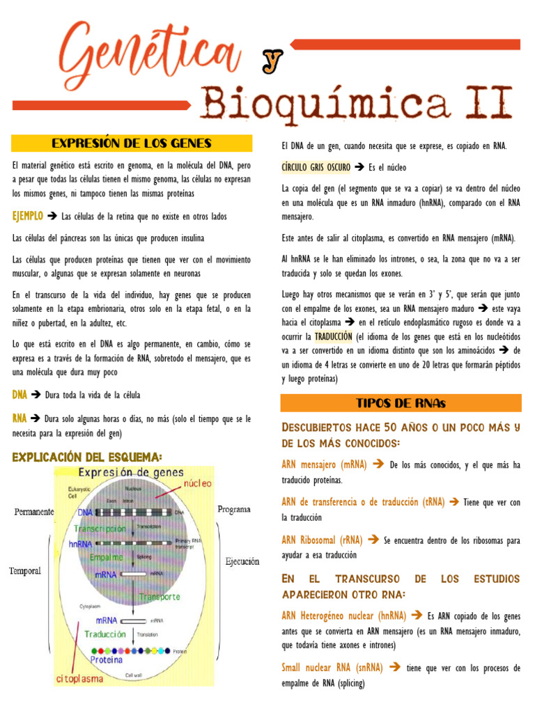 Bioca Degra 3 | PDF | Rna | Adn