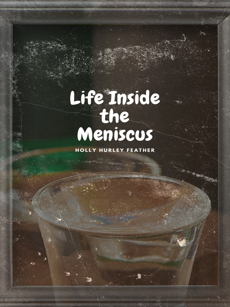 Life Inside The Meniscus by Holly Hurley Feather | PDF