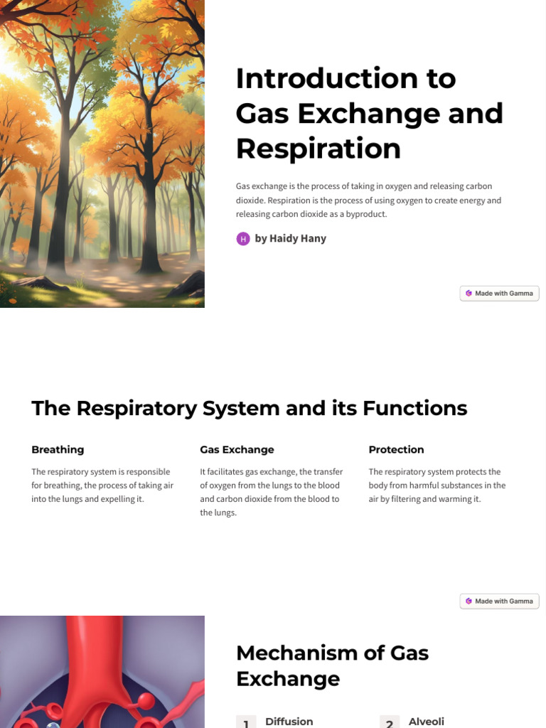 Gas Exchange and Respiration Explained | PDF | Respiratory System ...