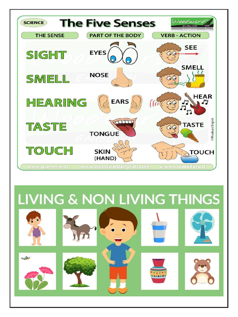 SCIENCE Grade 1 | PDF