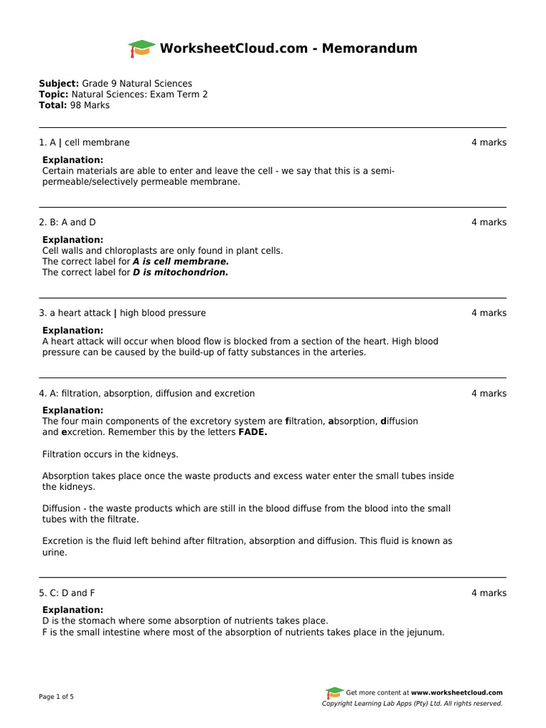 G9 Natural Sciences Term 2 Exam MEMO | PDF | Small Intestine ...