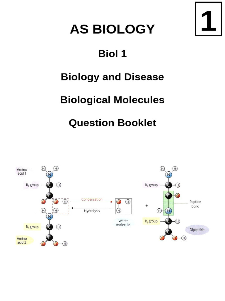 Biological Molecules Homework Booklet | PDF | Biochemistry | Chemistry