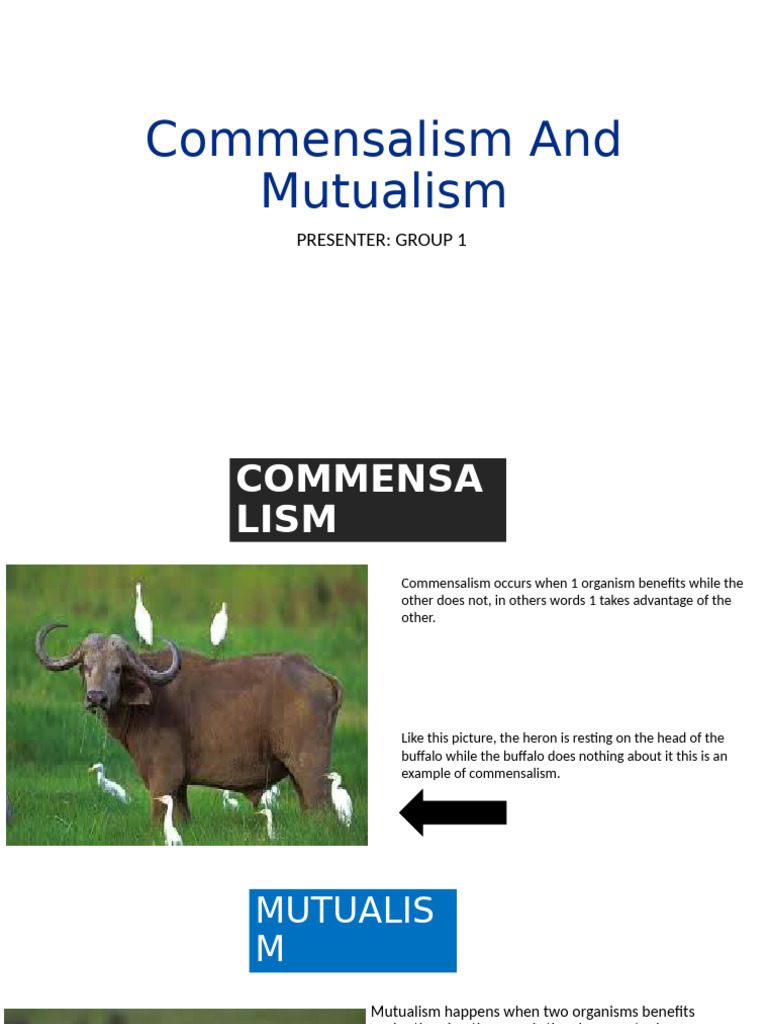 Commensalism and Mutualism.pptx GROUP 1 | PDF