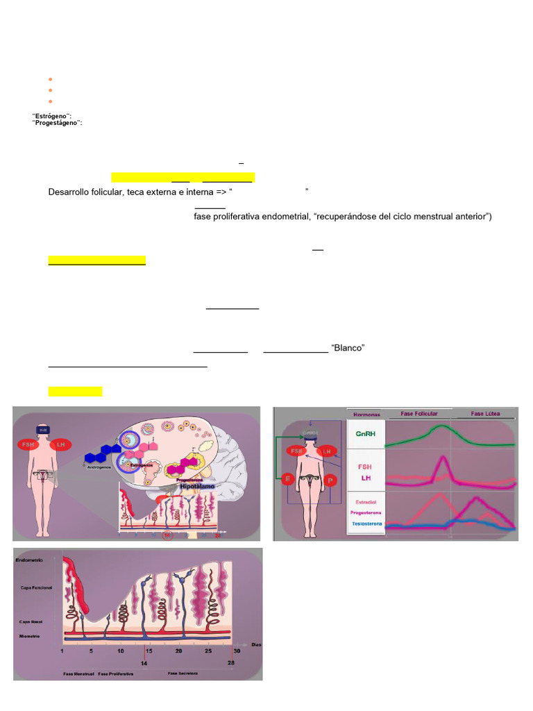 Hormonas sexuales femeninas (1) | PDF | Ciclo menstrual | Hormona luteinizante