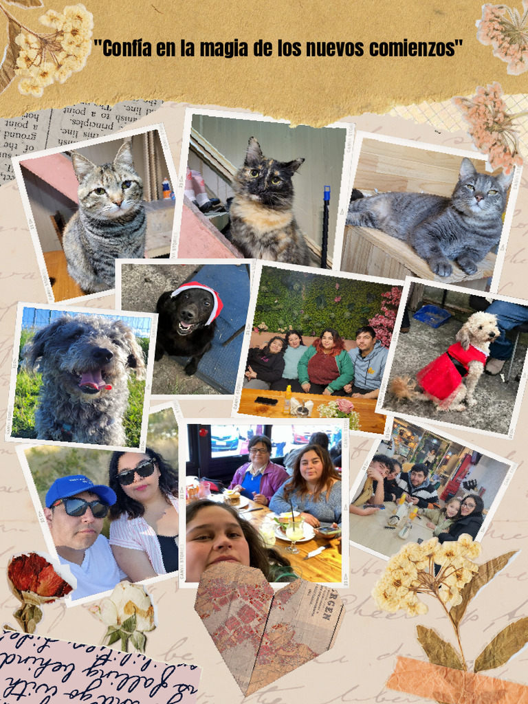 Collage de Fotos Vacaciones Entorno Rural Doodle Fotográfico Blanco y ...