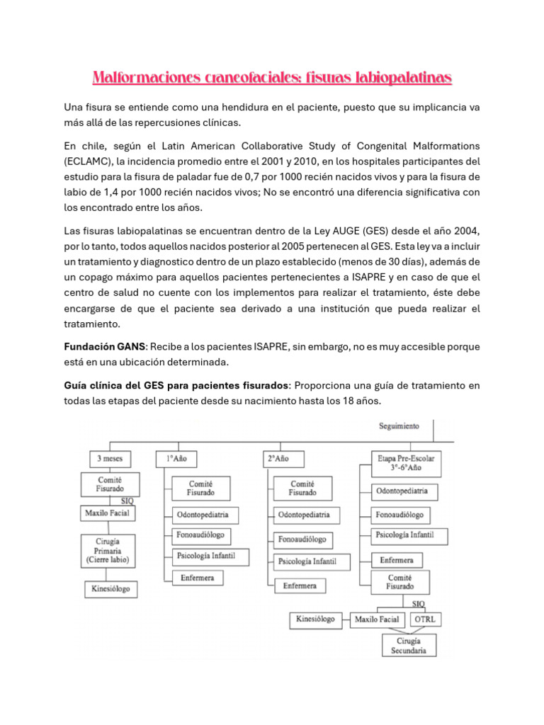 Malformaciones C Neofaciales: Fisu S Labiopala Nas: Fundación GANS Guía ...