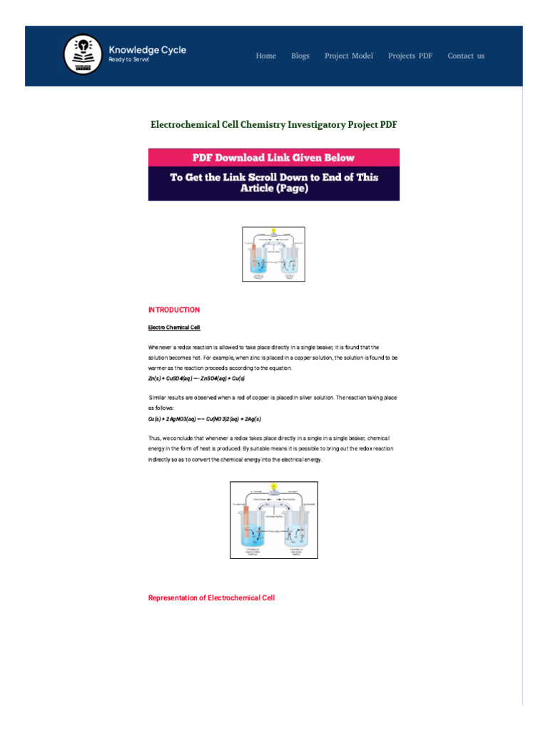 Electrochemical Cell Project PDF | PDF | Electrochemistry | Redox