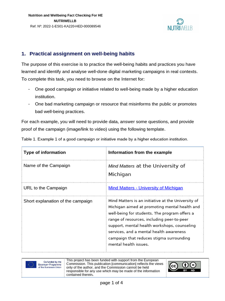Well-being Campaign Analysis for HE | PDF | Mental Health | Well Being