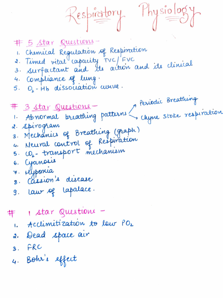 Respiratory System Study Guide | PDF