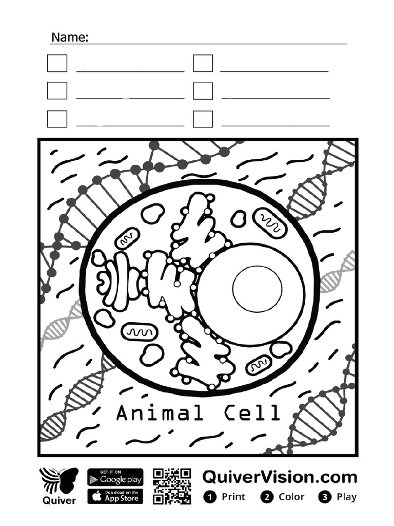quiver animal cell | PDF