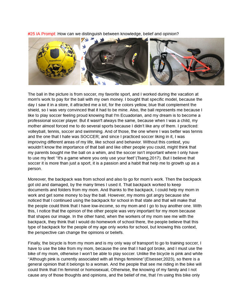 Copia de KEVIN MATH AS ZAPATA LEMA - ToK Exhibition | PDF