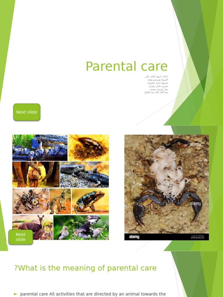 Parental Care | PDF | Altruism | Birds
