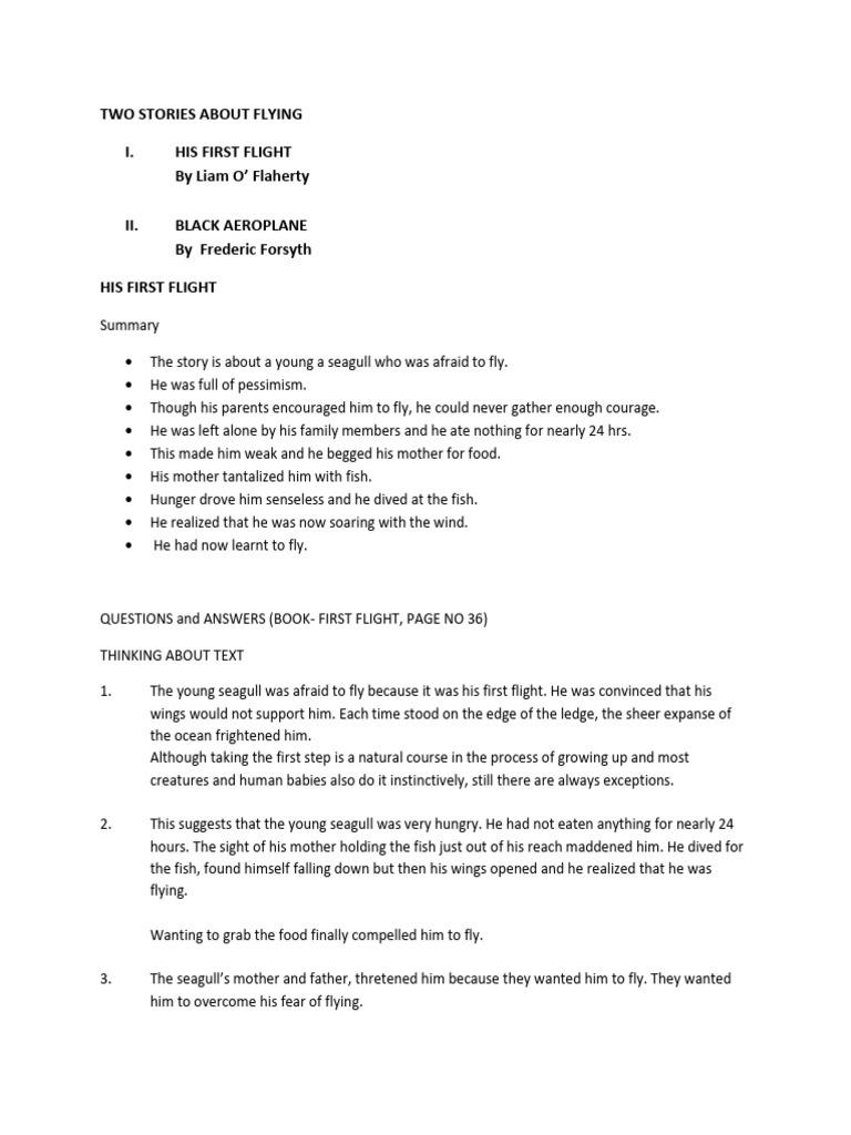 Two Stories About Flying | PDF