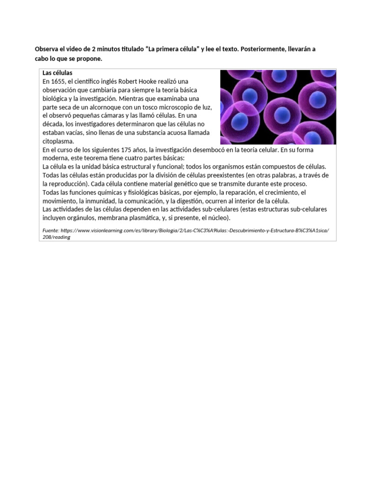 Identifica A La Celula Como Unidad Estructural de Los Seres Vivos ...