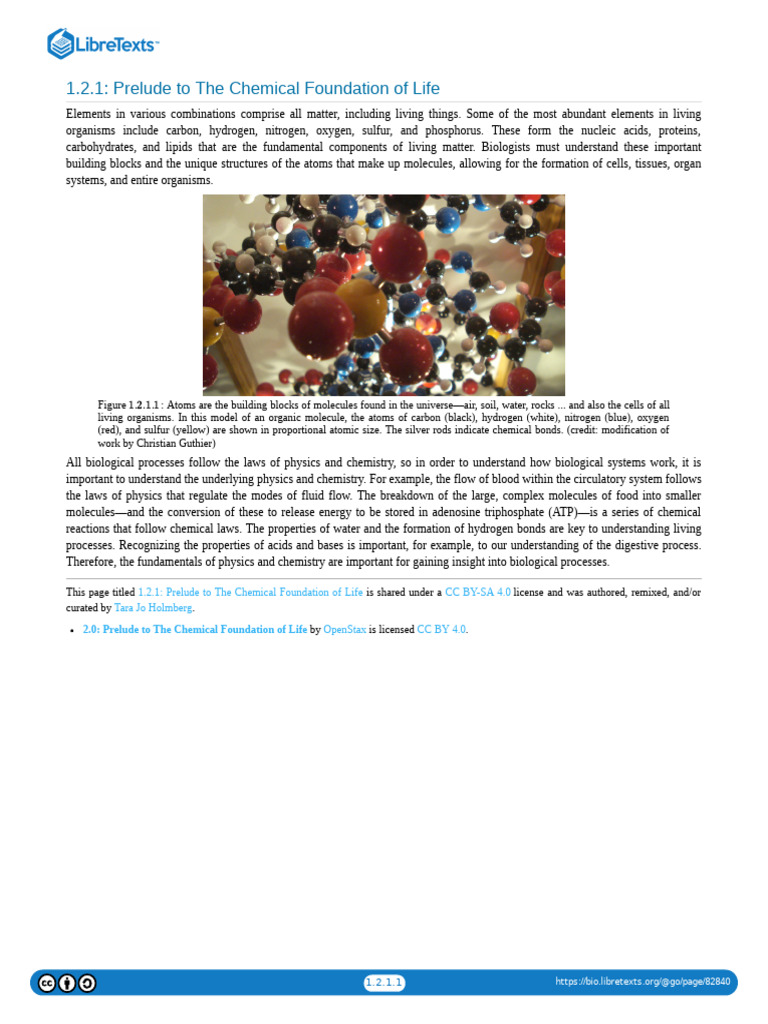 Chemical Foundations of Life Explained | PDF