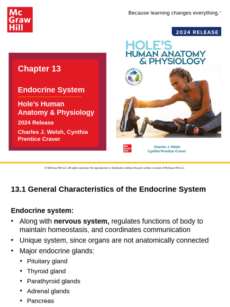 Welsh Holes HumanAP 2024 Release Chap013 PPT Accessible | PDF | Endocrine System | Hormone