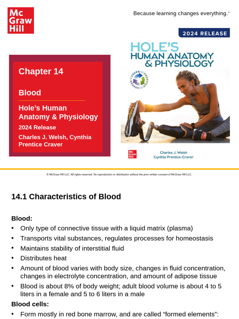 Welsh Holes HumanAP 2024 Release Chap014 PPT Accessible | PDF | Blood | Blood Cell