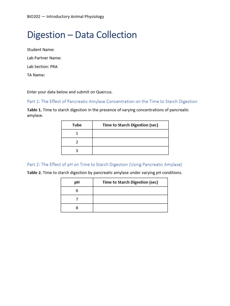 Summer 2023 Digestion - Data Collection 1 | PDF