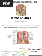 Anatomia - Plexos Braquial e Lombossacral | PDF | Anatomia humana ...