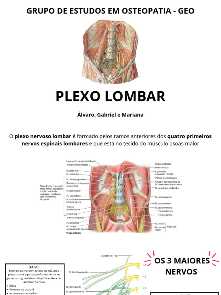 Plexo Lombar | PDF | Pélvis | Sistema Locomotor