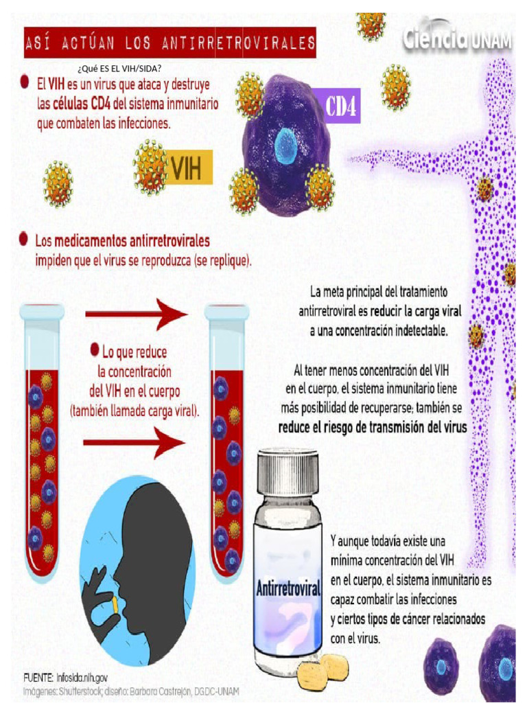 Qué ES EL VIH | PDF