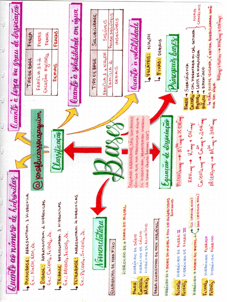 Mapa Mental - Bases | PDF