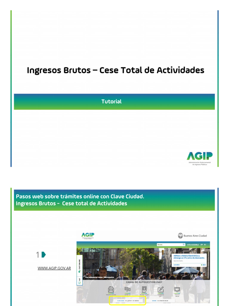 Cese de Actividades: Guía Online | PDF