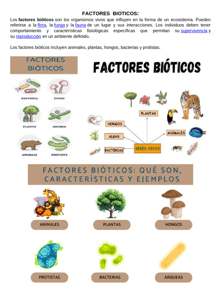 Factores Bióticos y Abióticos | PDF
