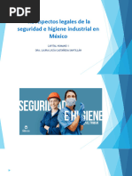 Pirámide de Kelsen, Seguridad e Higiene Industrial | PDF | México | Derecho laboral